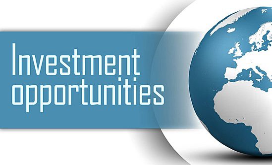 Investment Opportunity | Invest in a Winning Platform | DUBBIA!